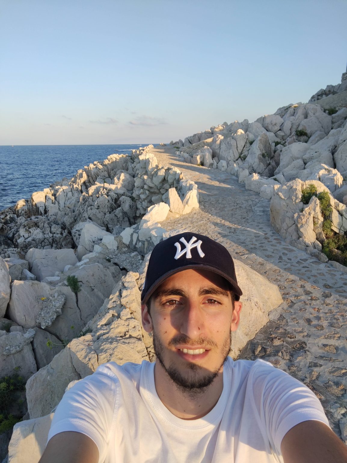 Andrea Di Dio - vusec